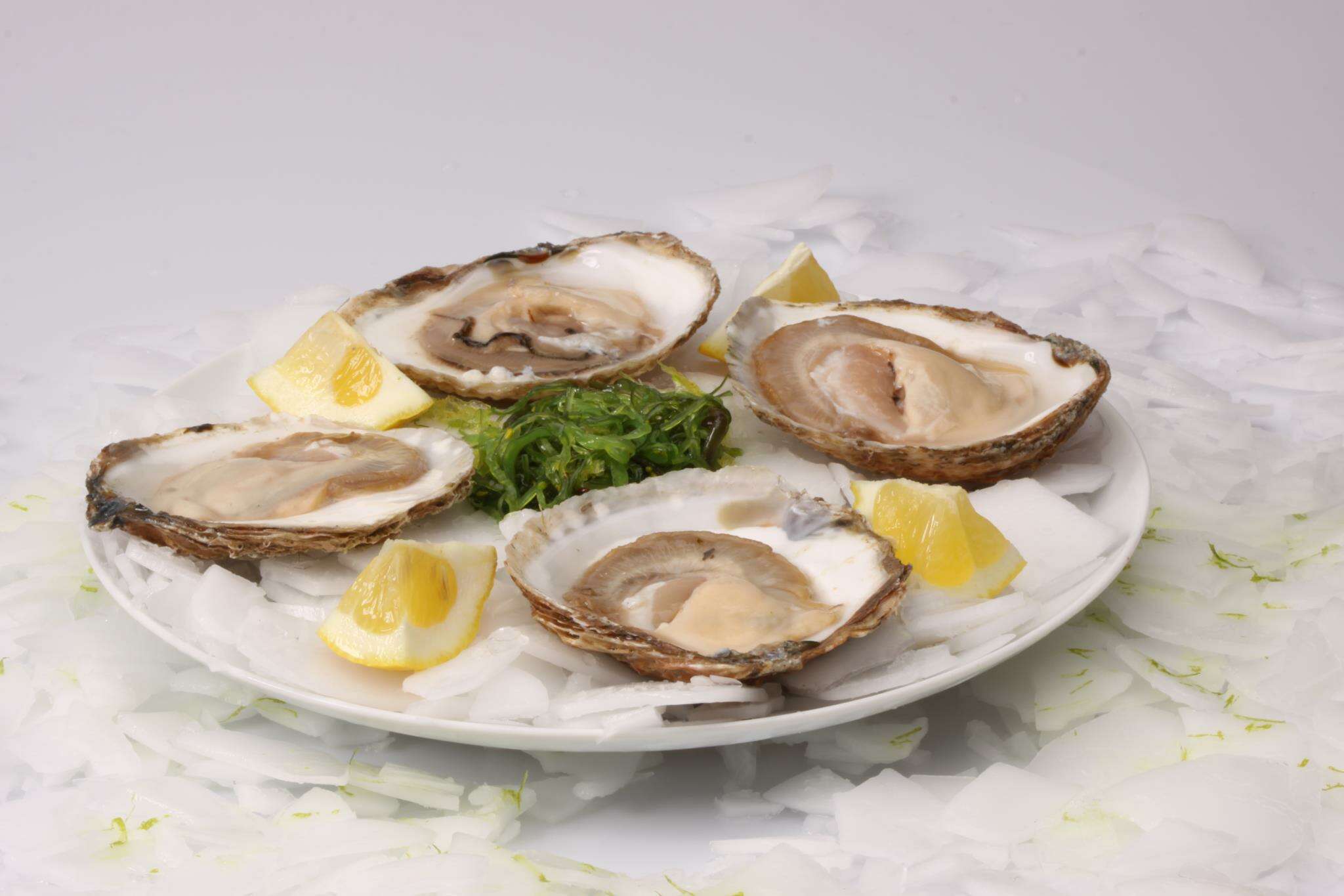 FaceBook Foto's - Eco Oester Yerseke